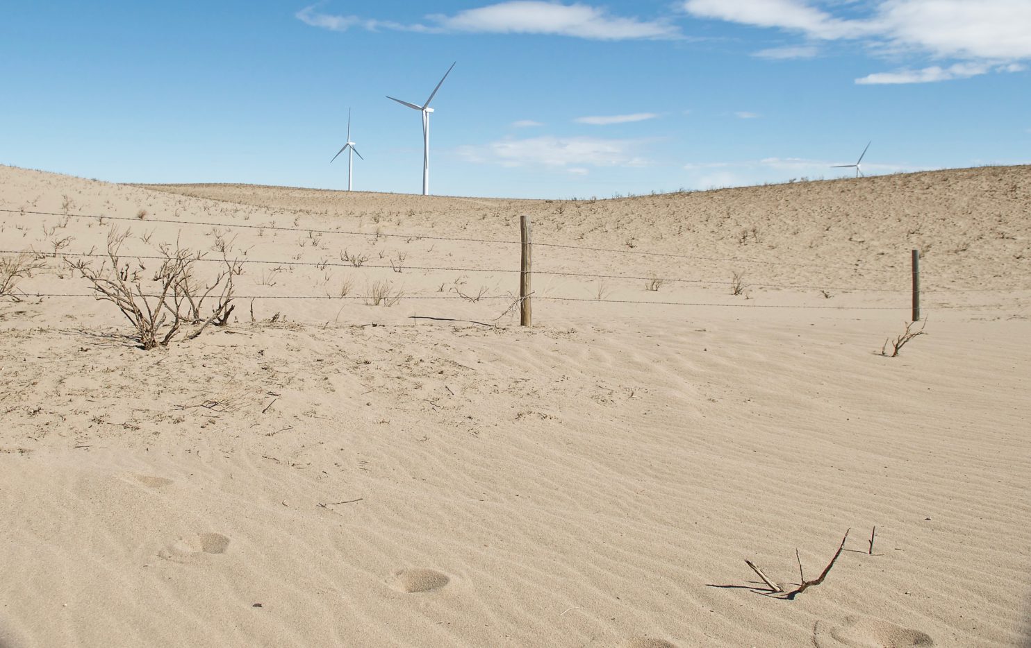 (3-7-17) Prairie Fire - Plants and Animals of Northeast Colorado